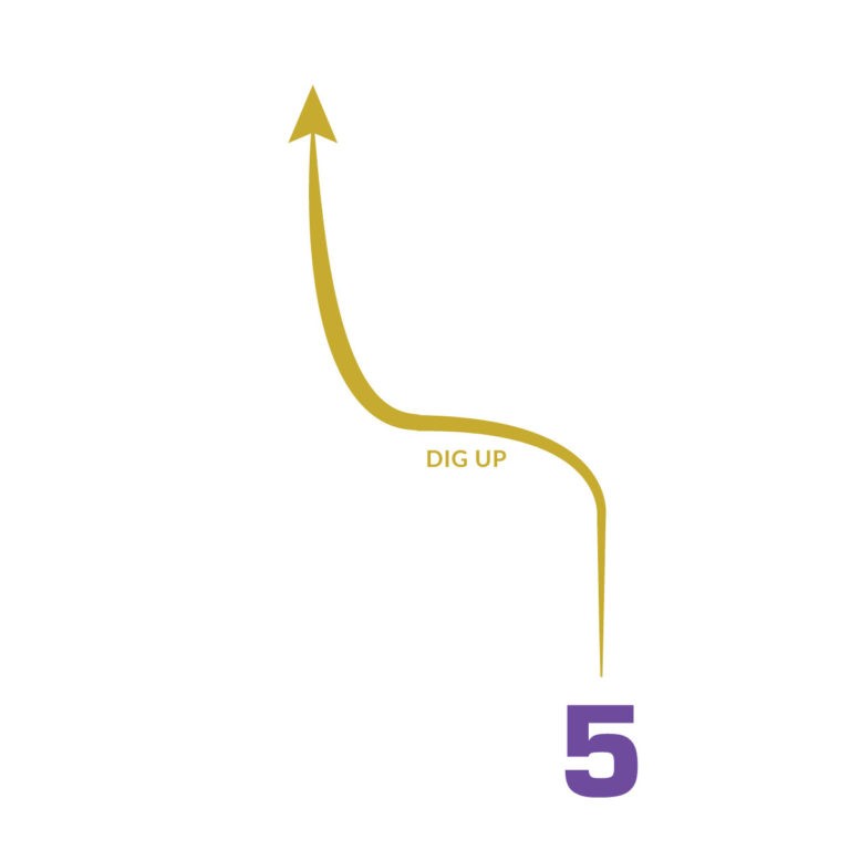 Guide to the Ultimate Flag Football Routes Tree - FlagSpin